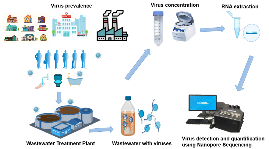 Sequencing-based monitoring of pathogenic viruses in wastewater