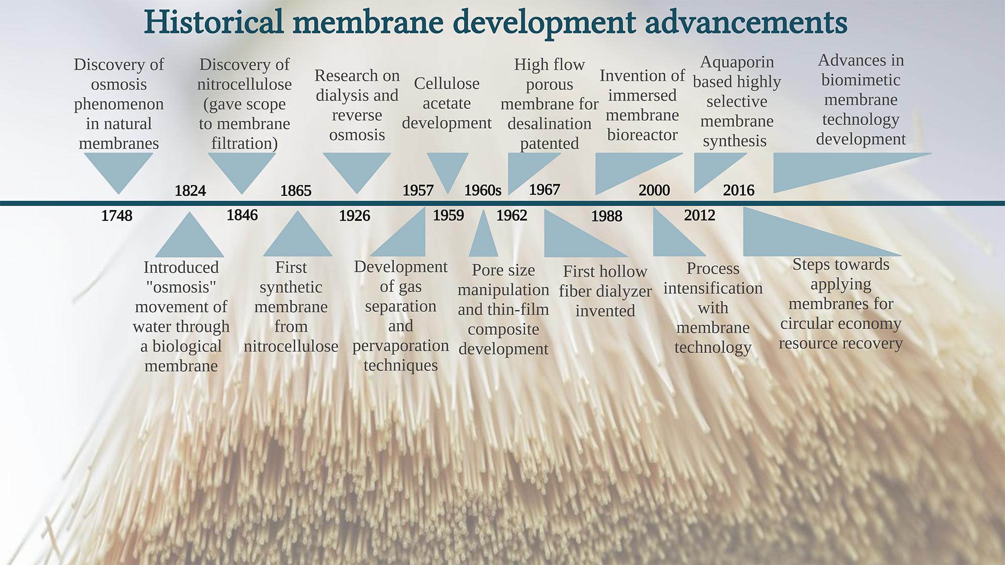 Biomimetic membrane technology developments relevant to sustainable ...