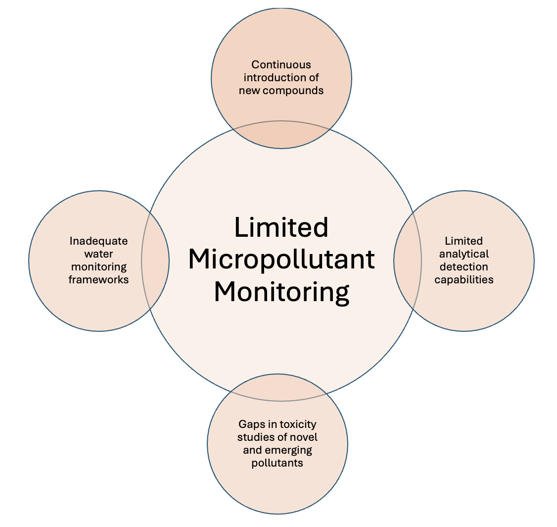 Advanced monitoring of chemicals in water systems: Insights from an ...