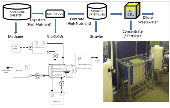 Nutrient Recovery From High-Strength Anaerobic Digester Digestate ...