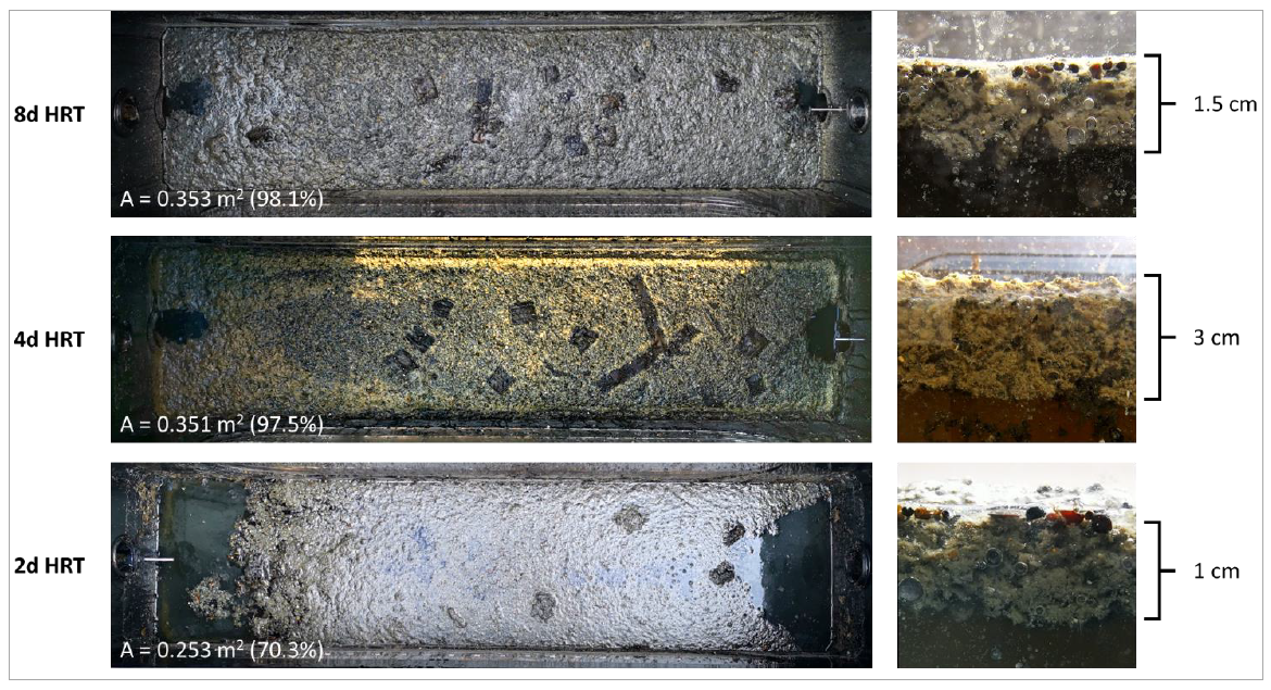 Scum Accumulation Represents Unutilised Methane Potential and Revenue ...