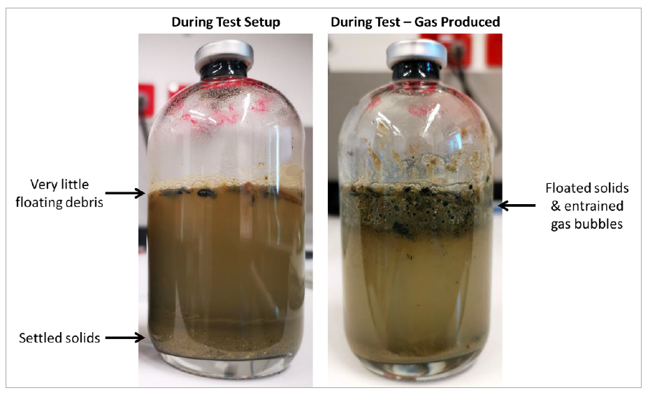 Scum Accumulation Represents Unutilised Methane Potential and Revenue ...